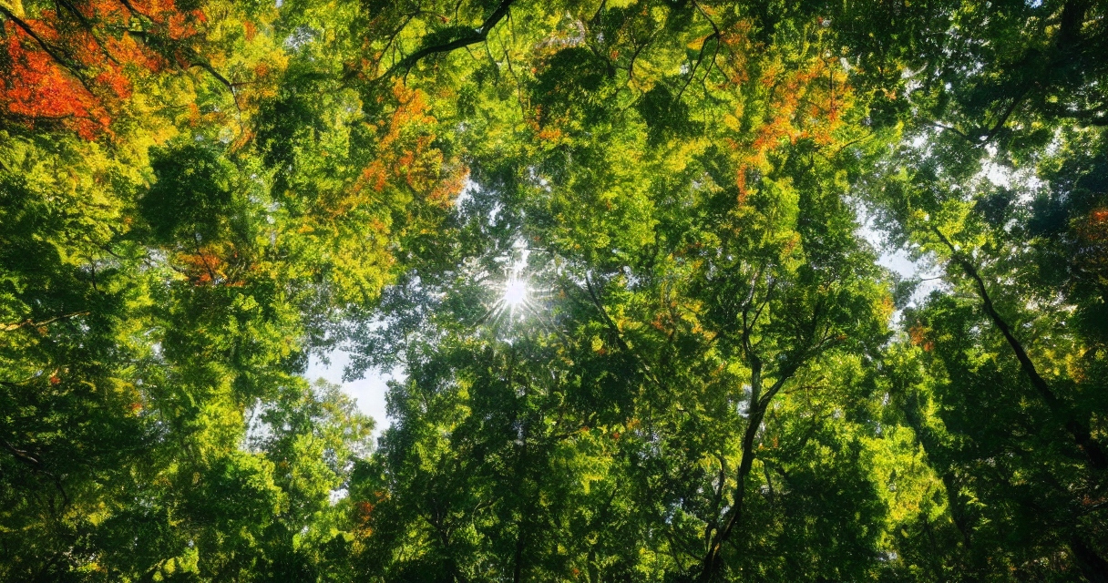 Vandalarm i naturen: Hvordan kan vi bevare og beskytte vores naturområder mod hærværk? - Mit Fyn